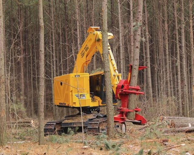 Environmental Forest Products | Benefits of Sustainable Wood Logging